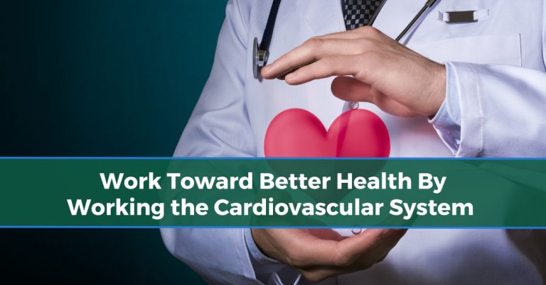 Work Toward Better Health By Working the Cardiovascular System ...